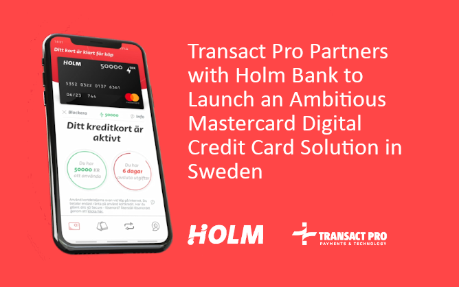 Fully In-House Payment Service Provider for Your Business